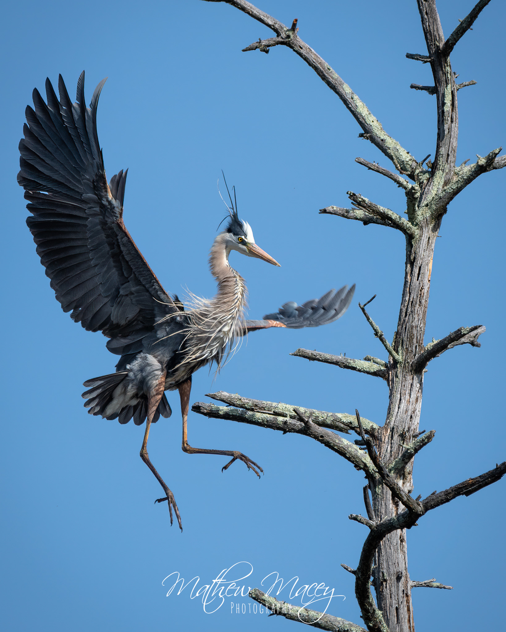 Home - Mathew Macey Photography