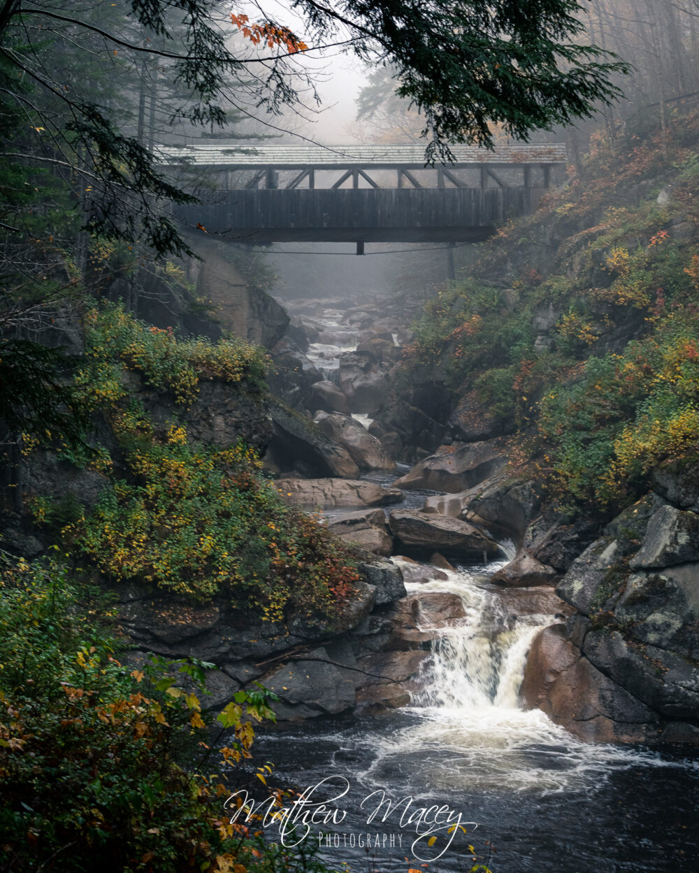 Home - Mathew Macey Photography